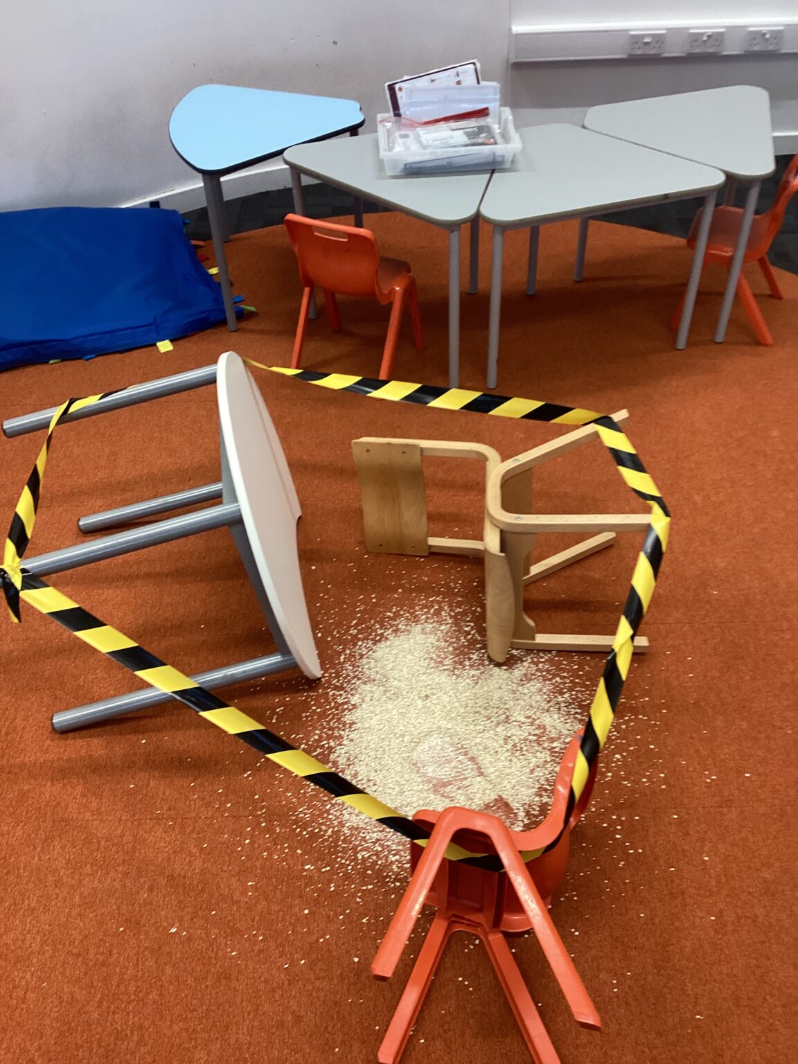 Mysterious visitor sparks curiosity and learning at Wallscourt ...